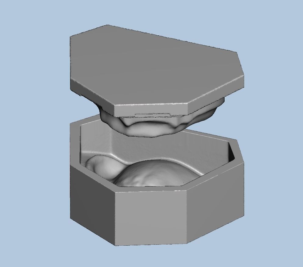 Silicon gum mold data for edentulous models 3D model 3D printable ...