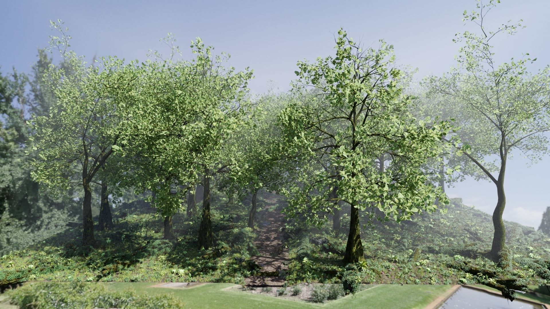 Forest Scene 3D model | CGTrader