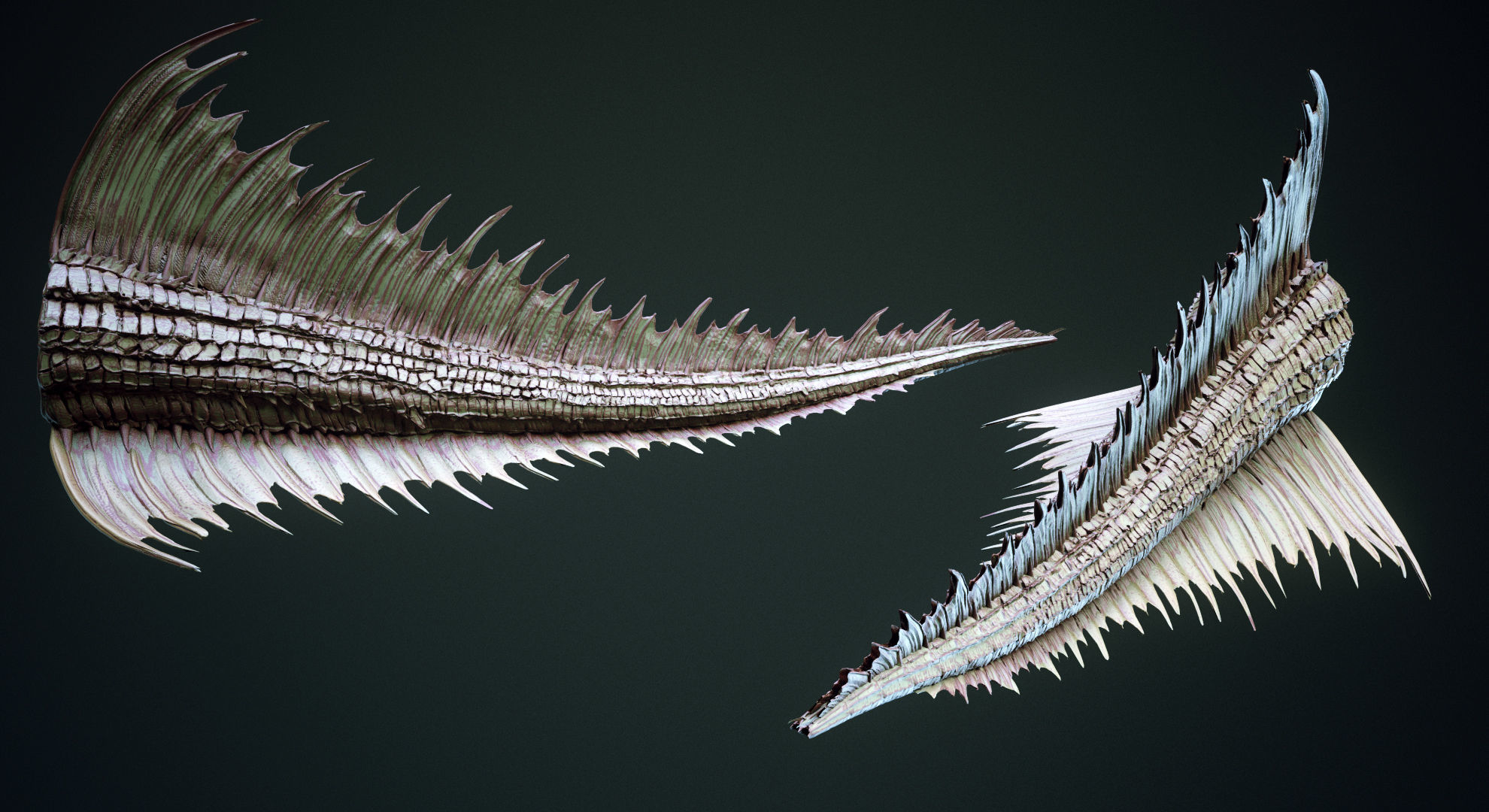 TAILS - 33 Tail Meshes and Curve Brushes 3D model | CGTrader