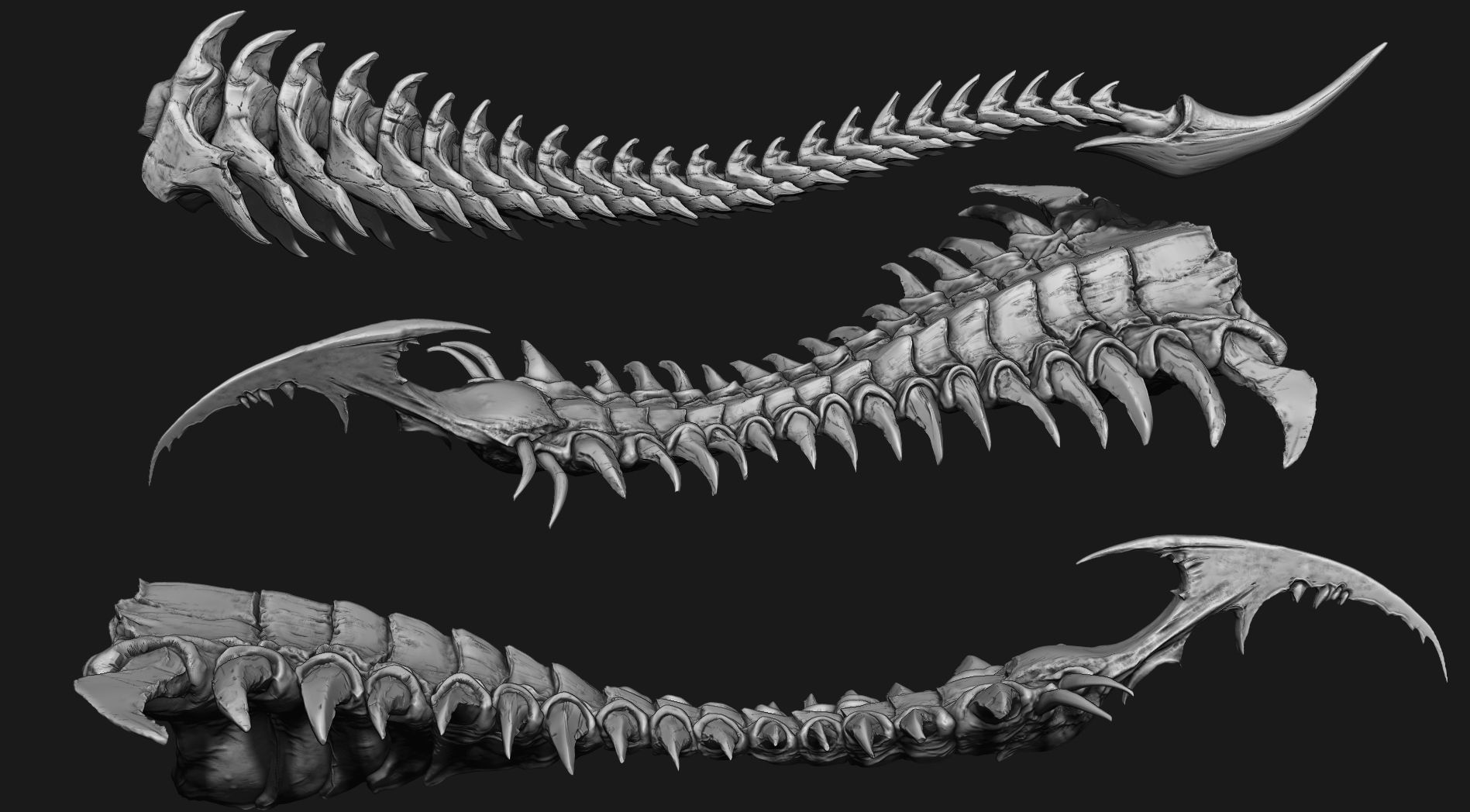 TAILS - 33 Tail Meshes and Curve Brushes 3D model | CGTrader