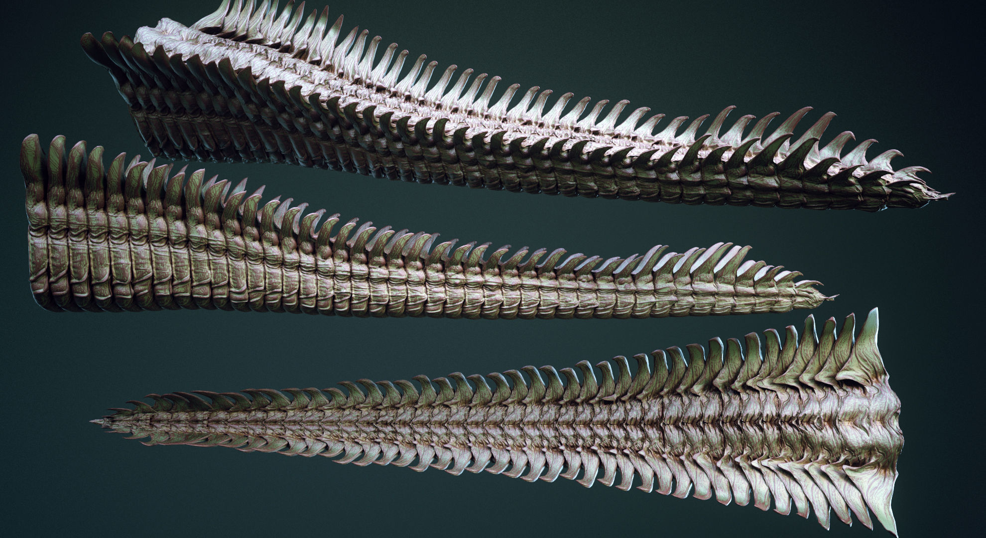 TAILS - 33 Tail Meshes and Curve Brushes 3D model | CGTrader