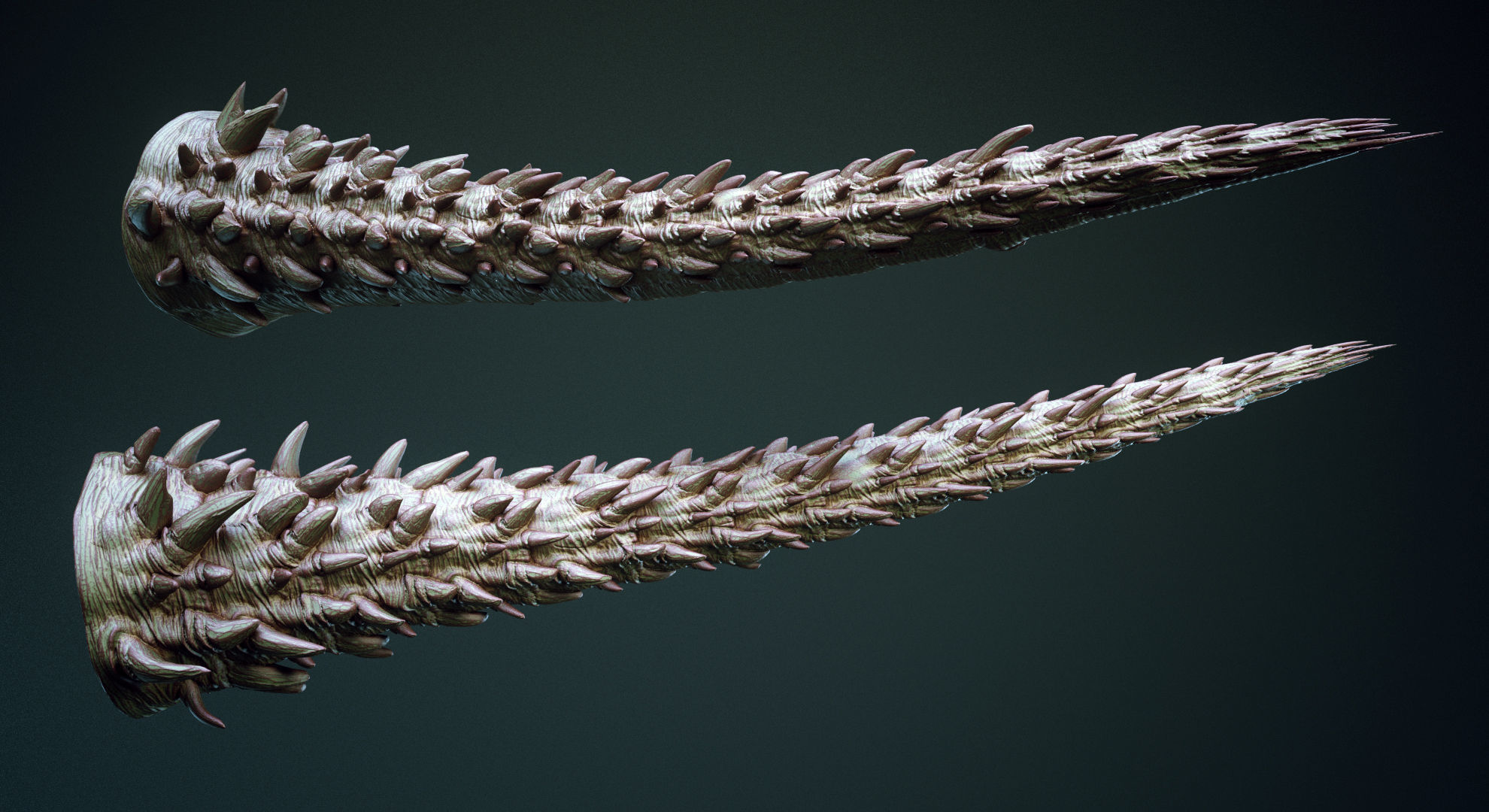 TAILS - 33 Tail Meshes and Curve Brushes 3D model | CGTrader