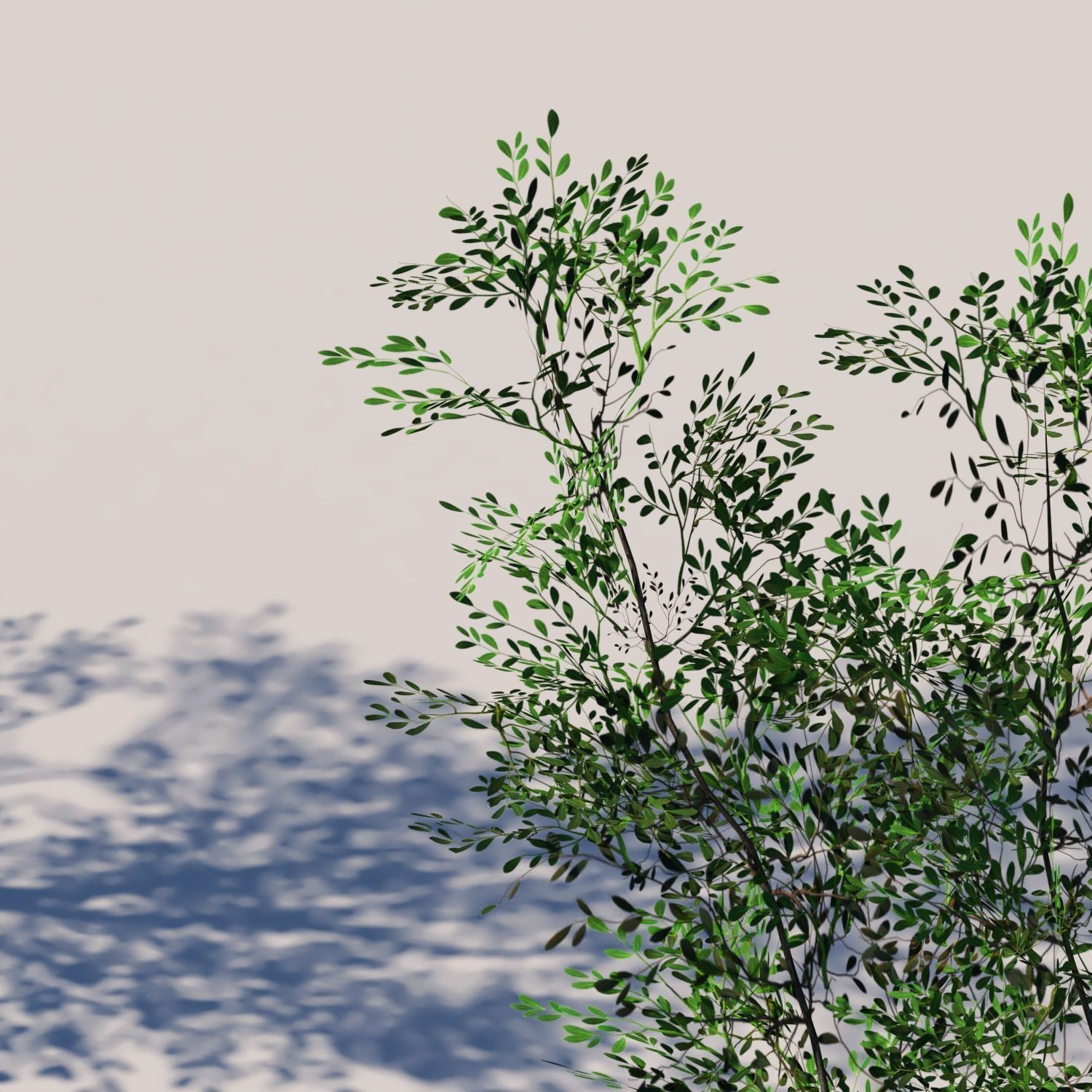 Small Tree Pack - 10 SKP and FBX trees free 3D model | CGTrader