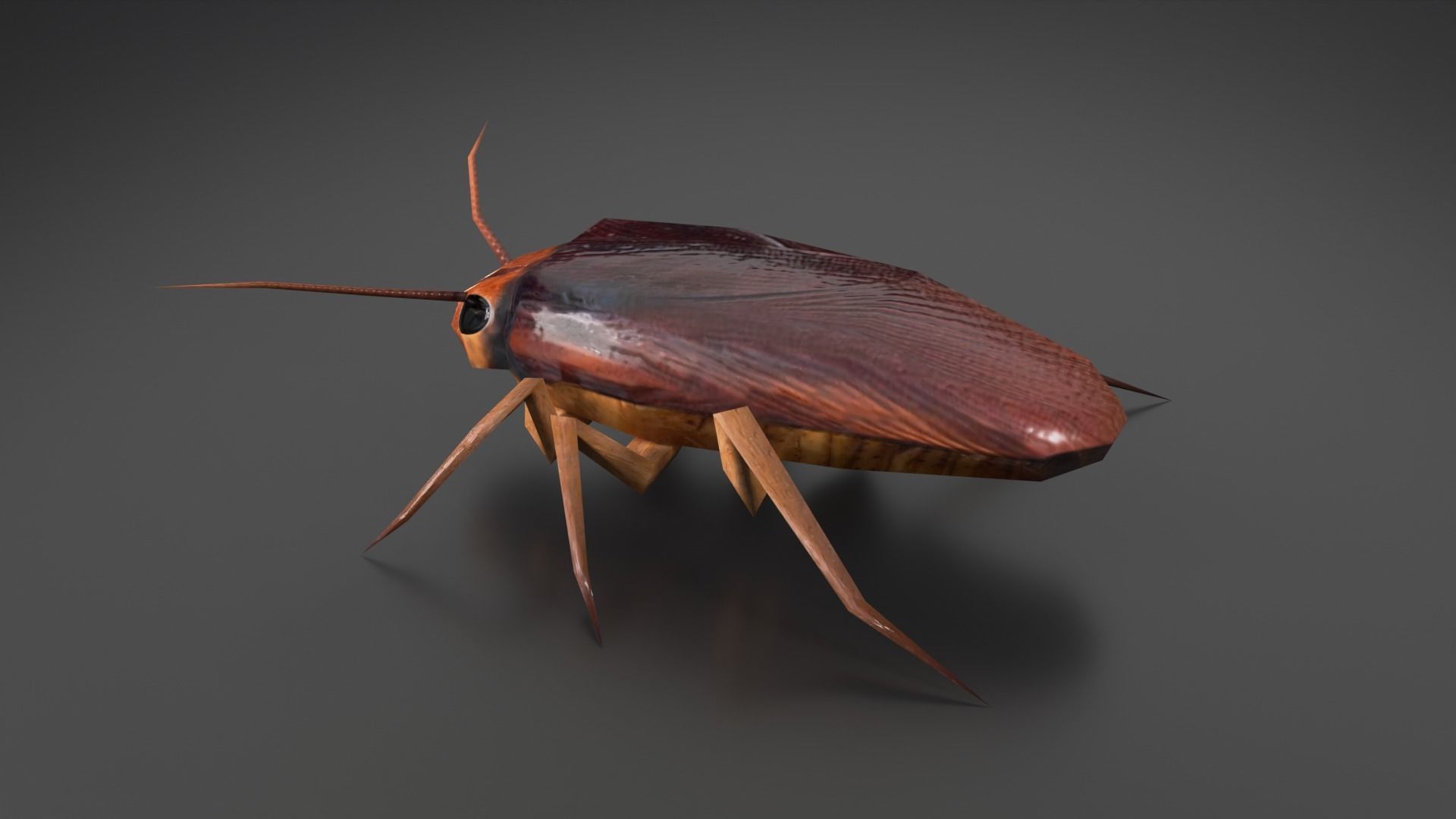 3D model Cockroach VR / AR / low-poly | CGTrader