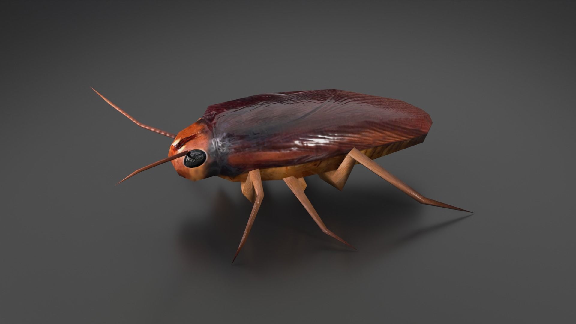 3D model Cockroach VR / AR / low-poly | CGTrader
