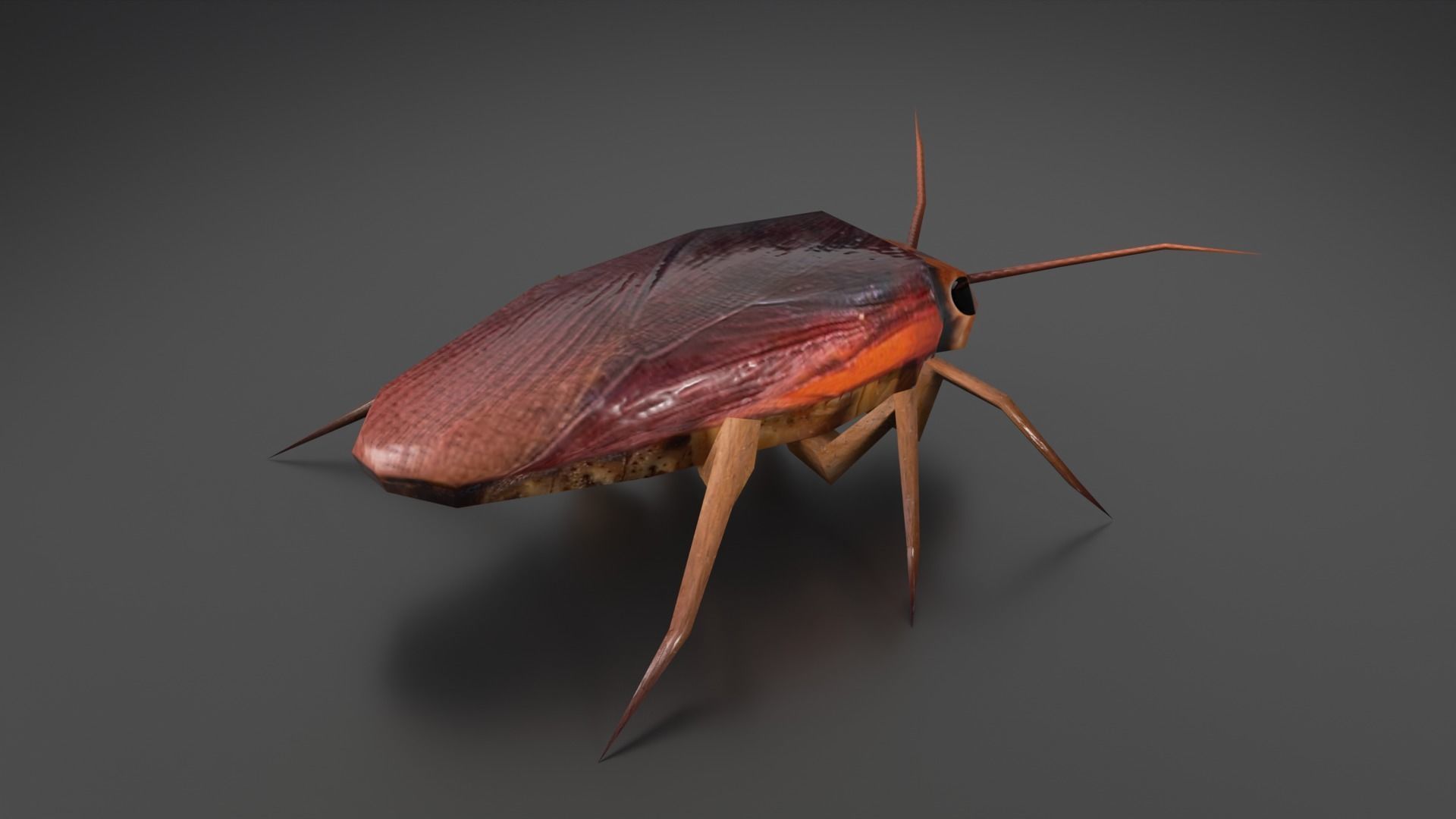 3D model Cockroach VR / AR / low-poly | CGTrader