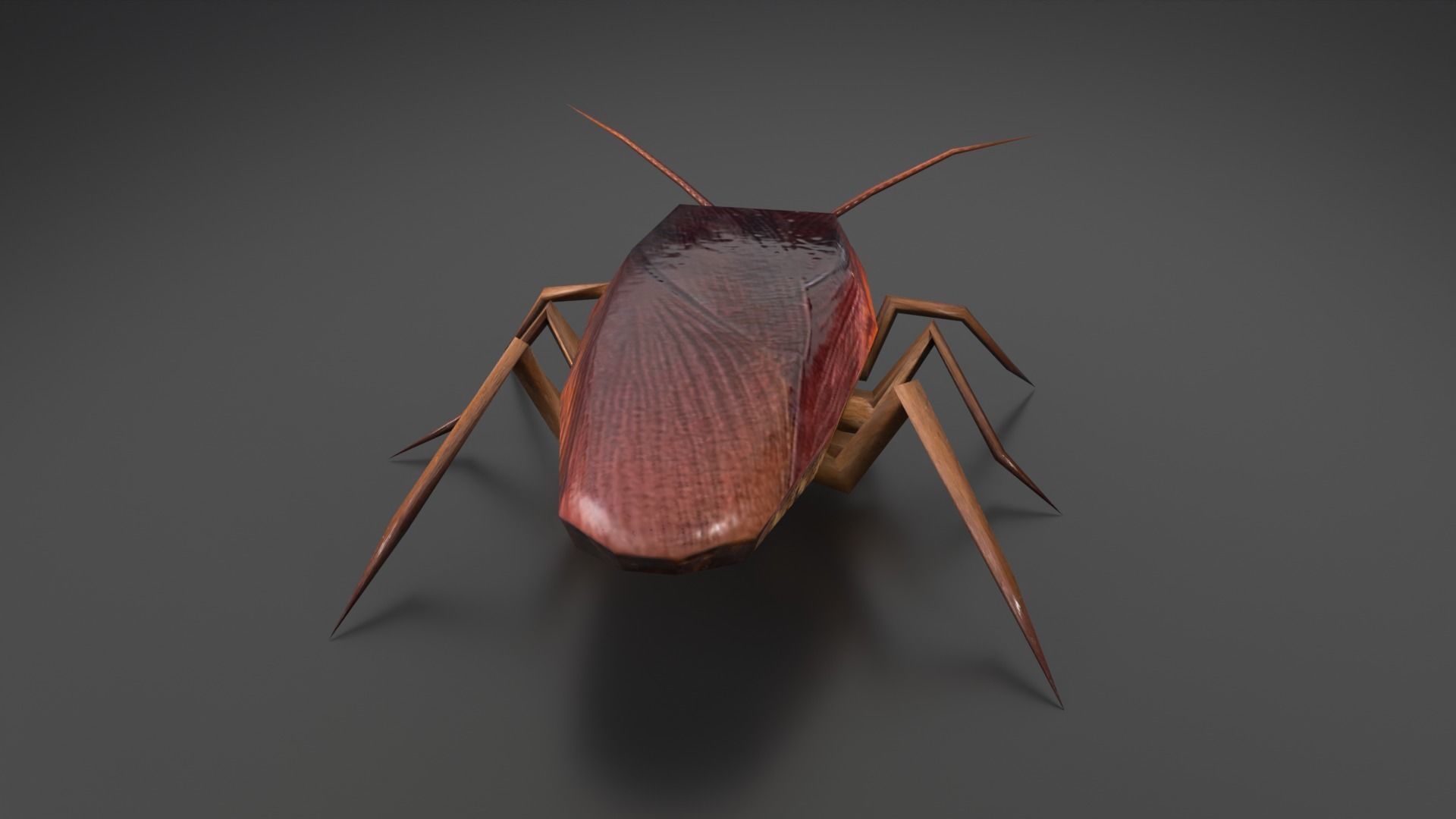 3D model Cockroach VR / AR / low-poly | CGTrader