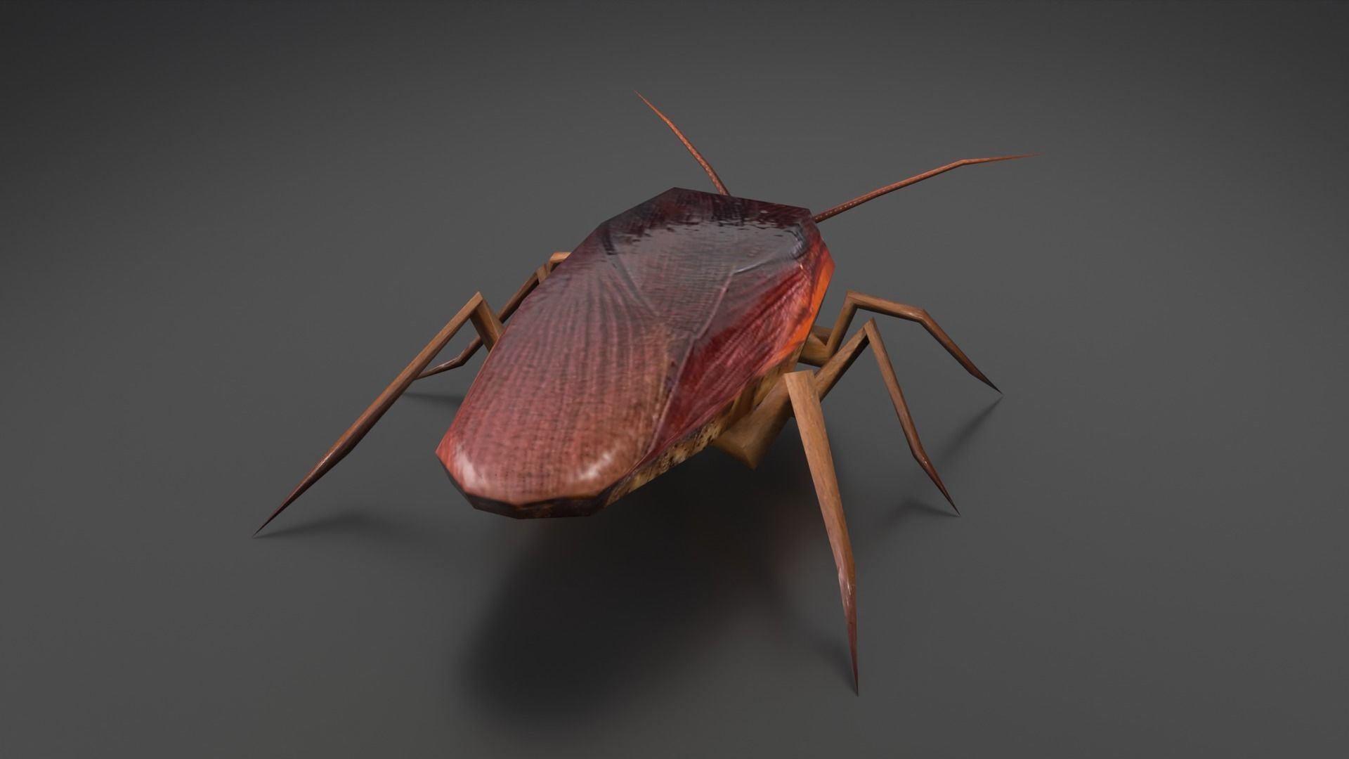 3D model Cockroach VR / AR / low-poly | CGTrader