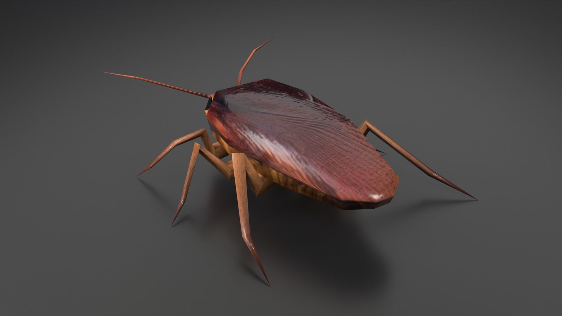 3D model Cockroach VR / AR / low-poly | CGTrader