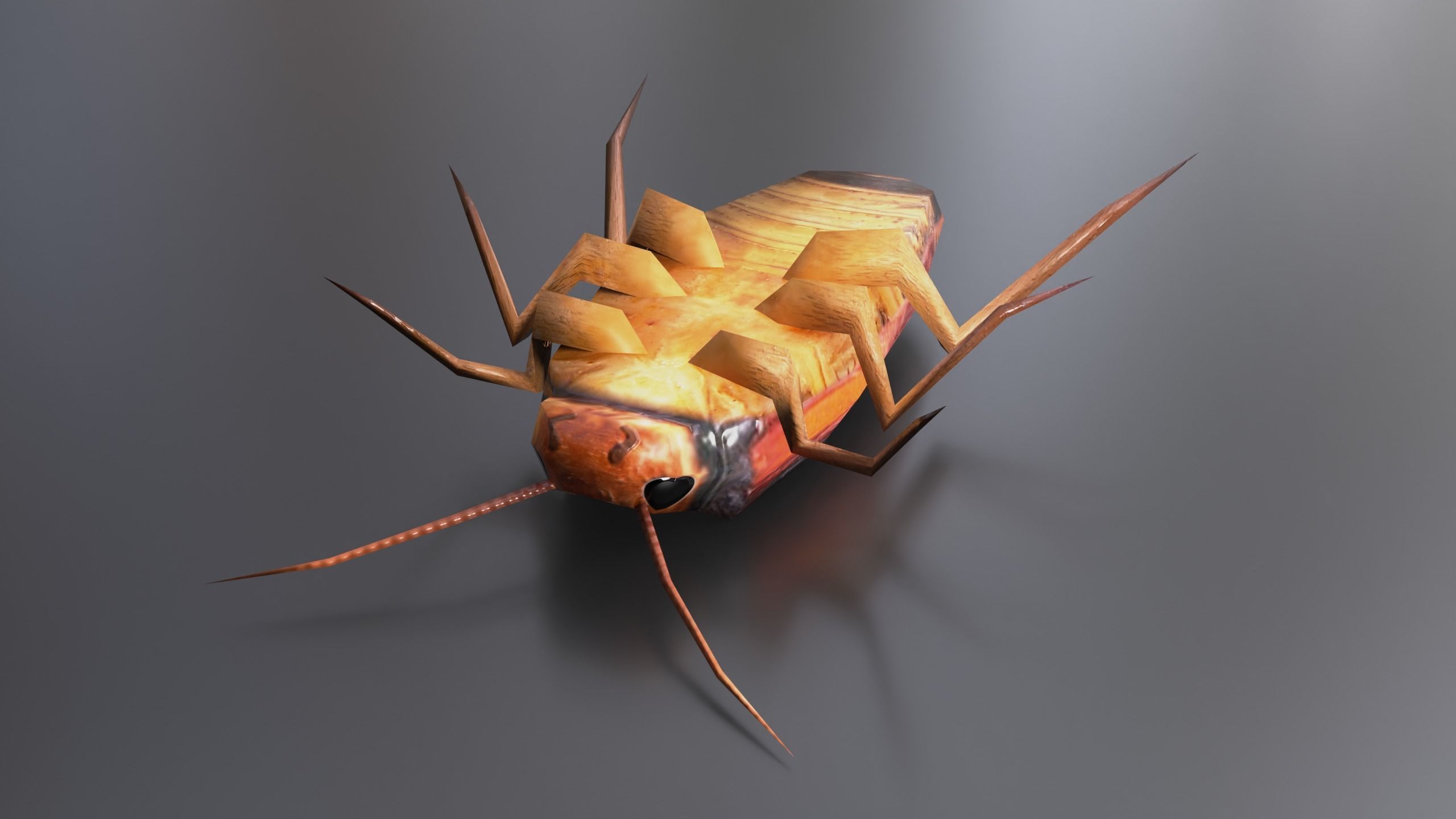 3D model Cockroach VR / AR / low-poly | CGTrader