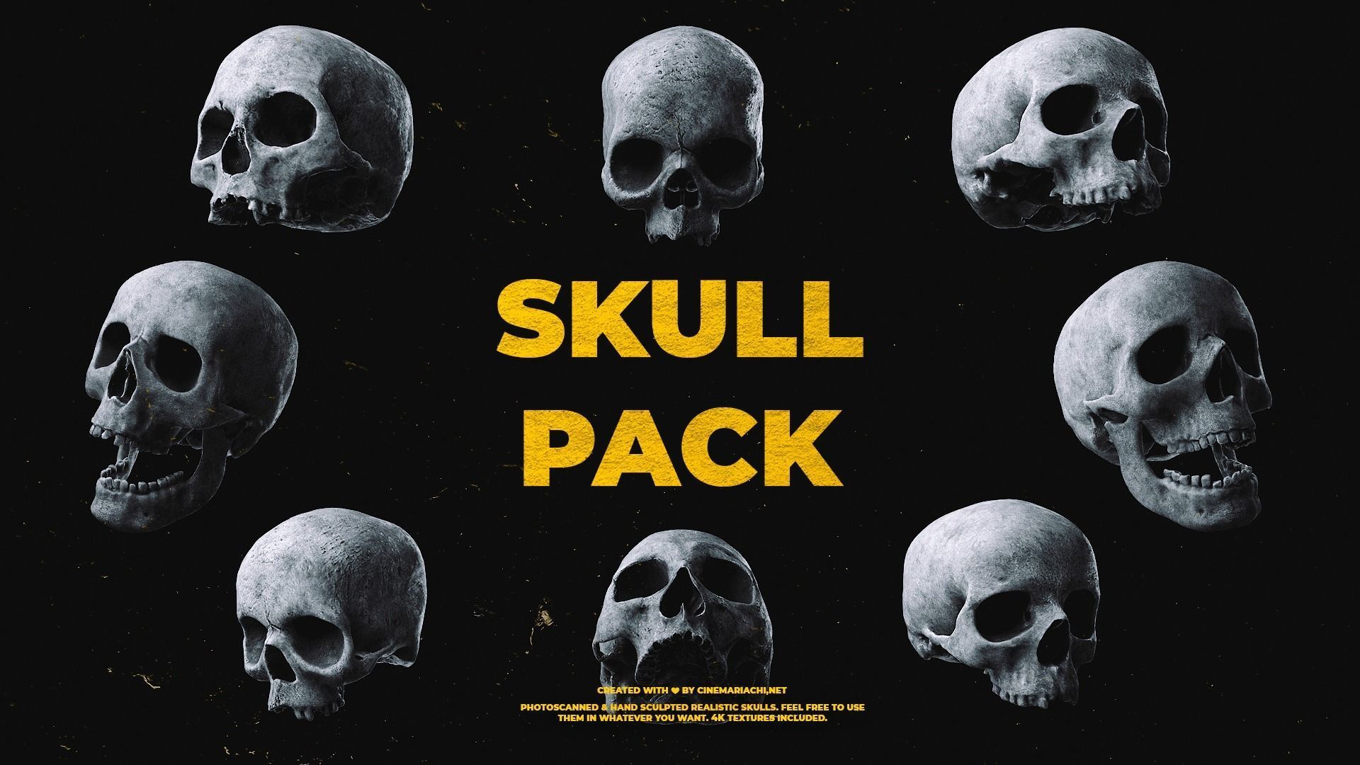 Human Skull Pack - Free Sample free 3D model | CGTrader
