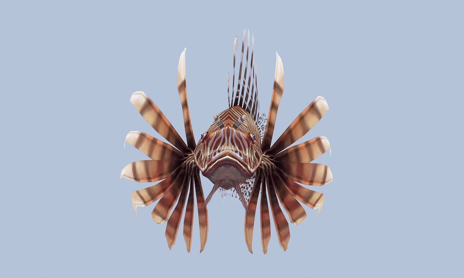 3D model animated lionfish VR / AR / low-poly | CGTrader