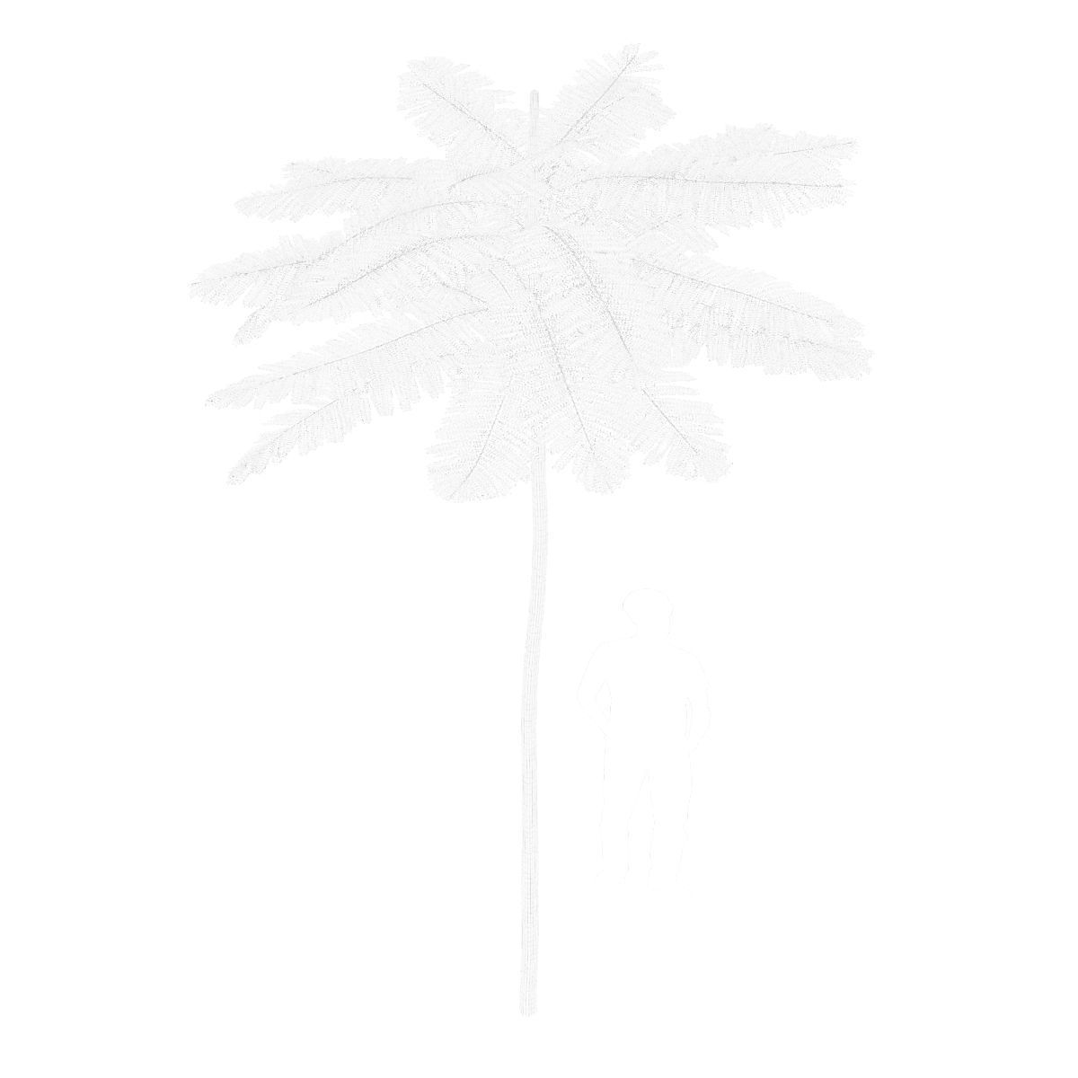 Schizolobium Parahyba VOL 2 GROWFX - PAKIS BRAZIL-SOLOBIUM 3D model ...