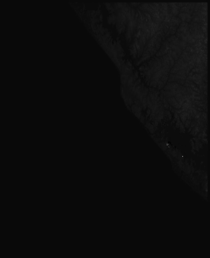 Gabon High resolution 12k Heightmap and geometry Texture | CGTrader