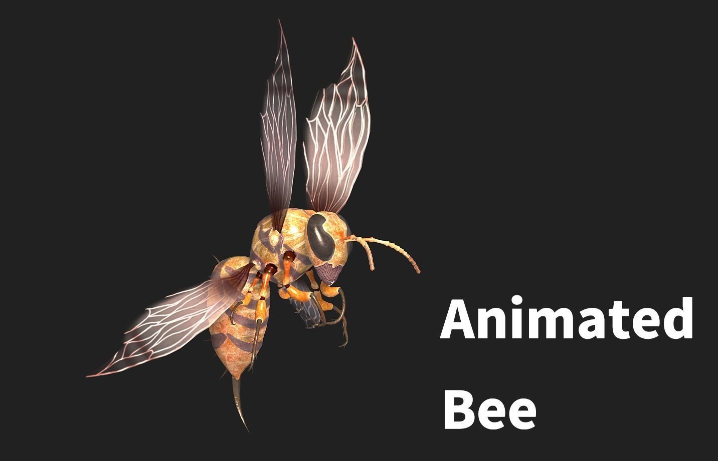 3D model animated bee VR / AR / low-poly | CGTrader