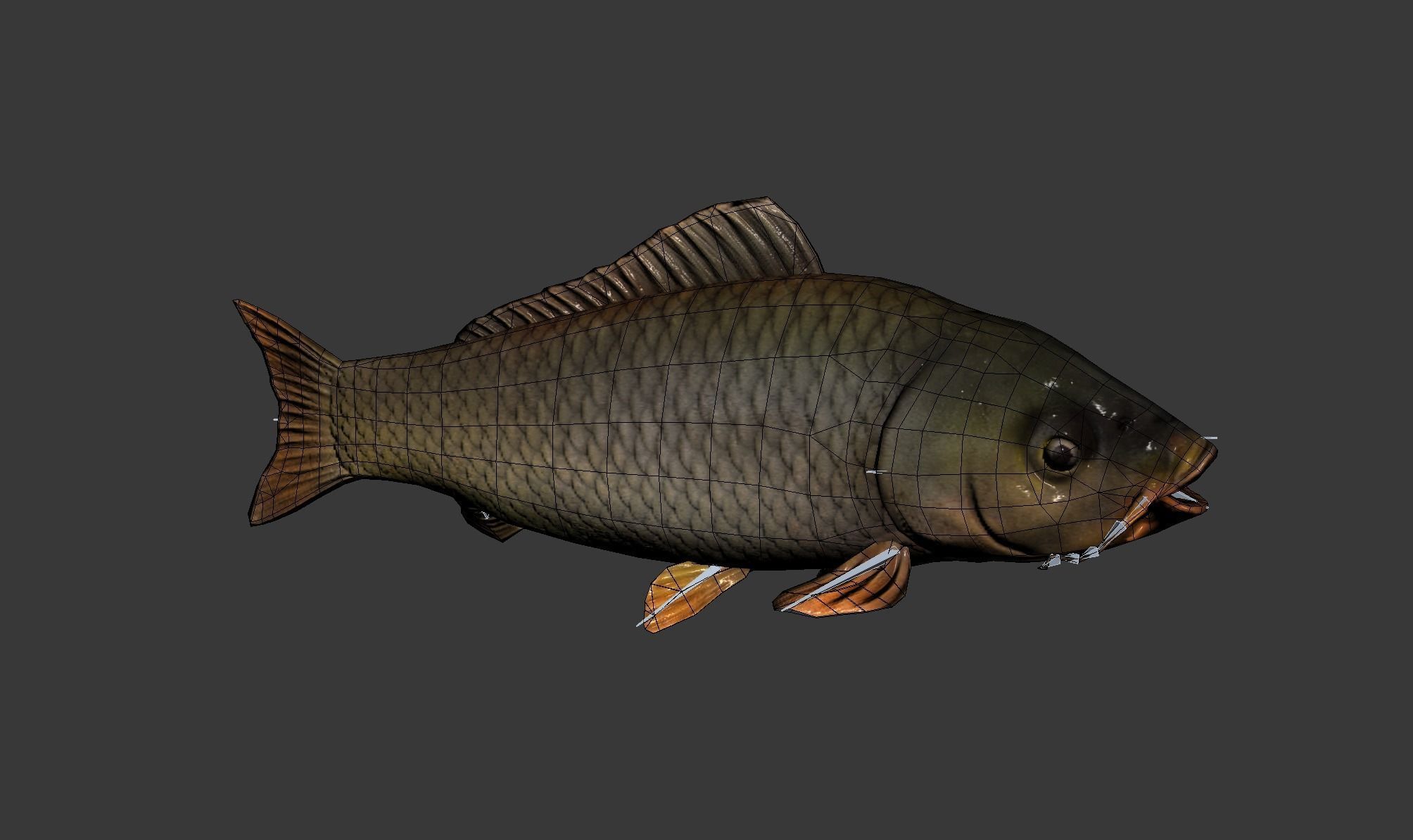 3D model animated carp fish VR / AR / low-poly | CGTrader