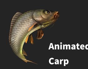 Animated Carp 3D Models | CGTrader