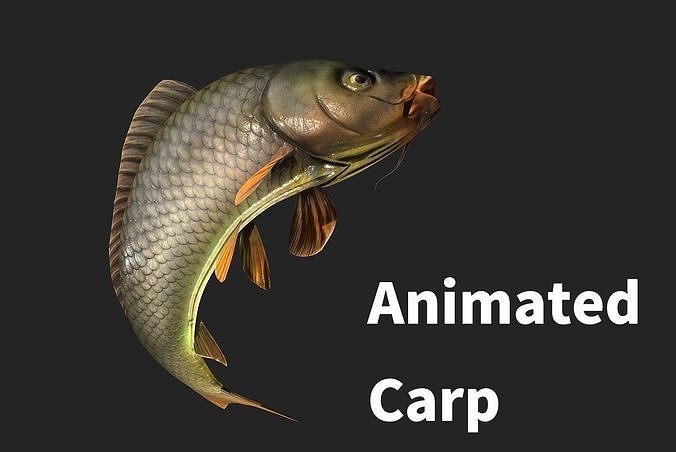 3D model animated carp fish VR / AR / low-poly | CGTrader