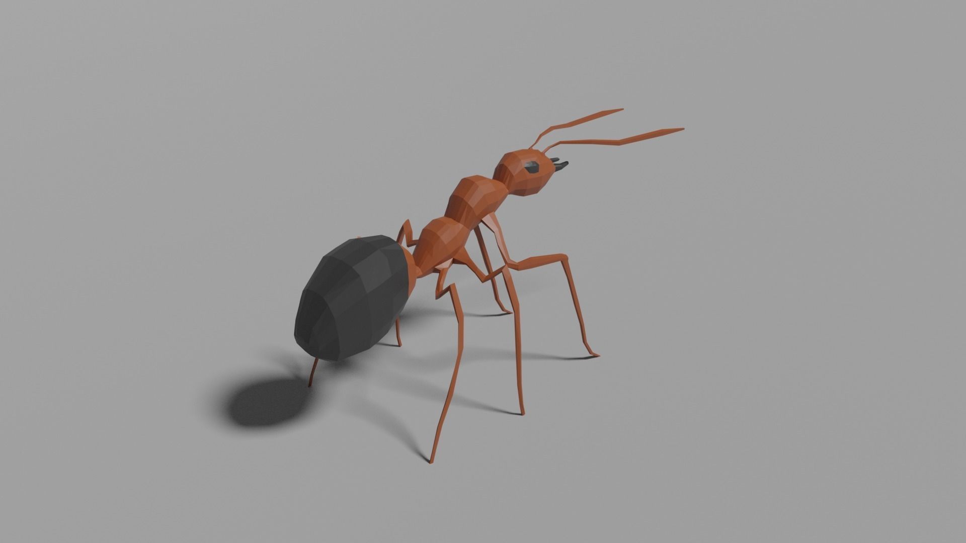 3D model Low-poly Ant VR / AR / low-poly | CGTrader