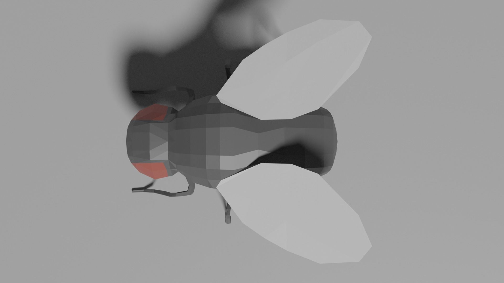 3D model Low-poly Fly VR / AR / low-poly | CGTrader