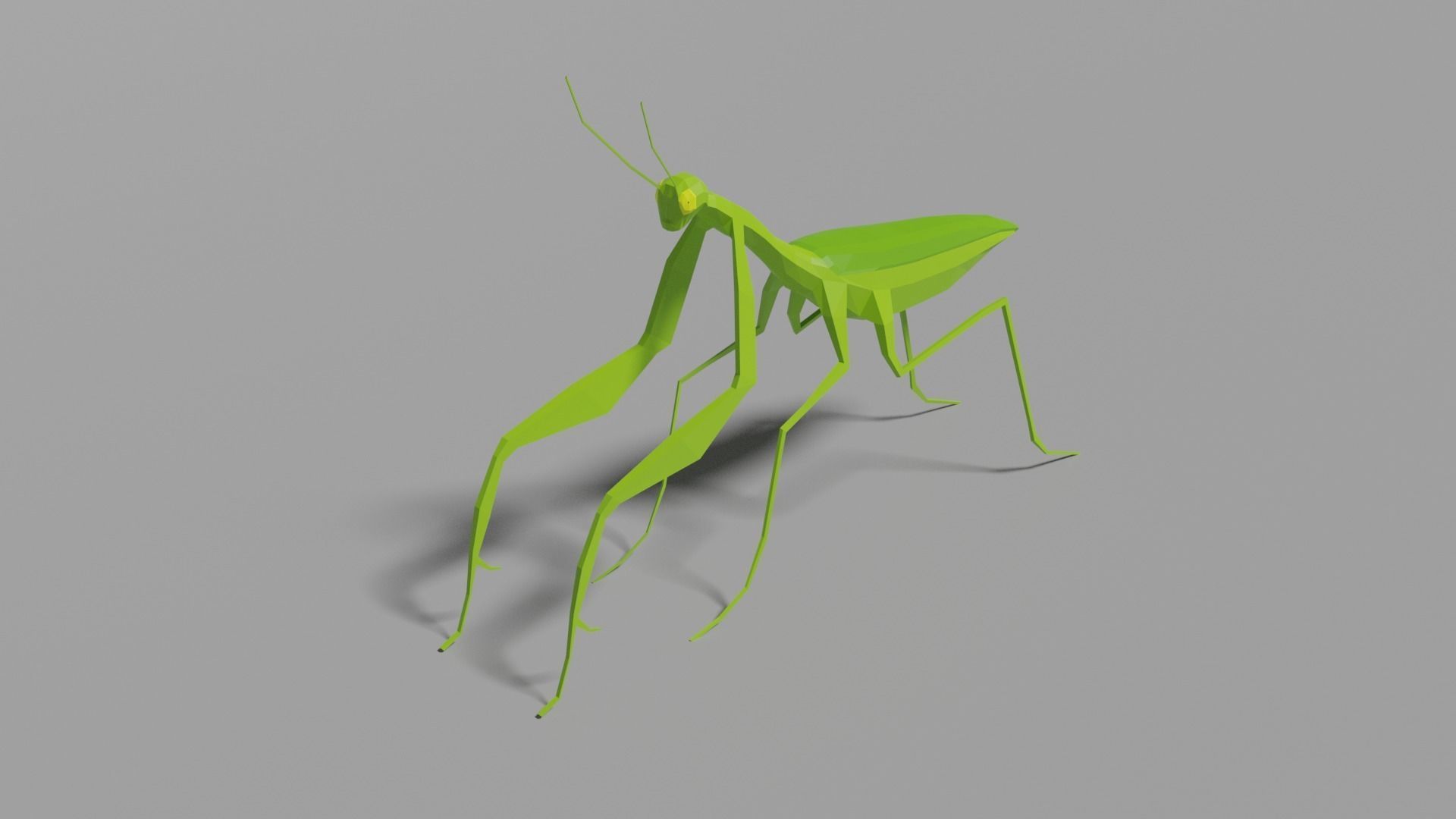 3D model Low-poly Mantis VR / AR / low-poly | CGTrader