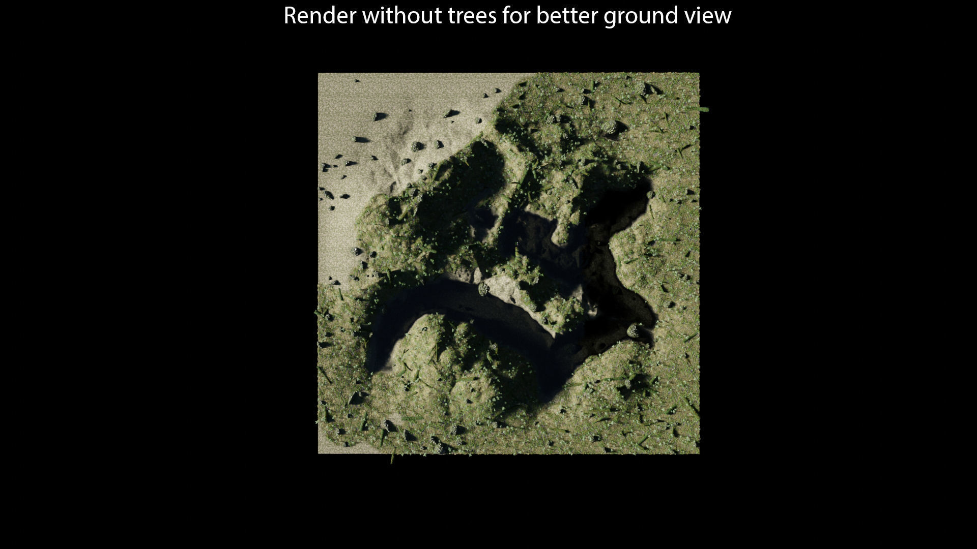 Forest Scene 2 3D model | CGTrader