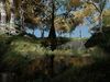 Forest Scene 2 3D model | CGTrader
