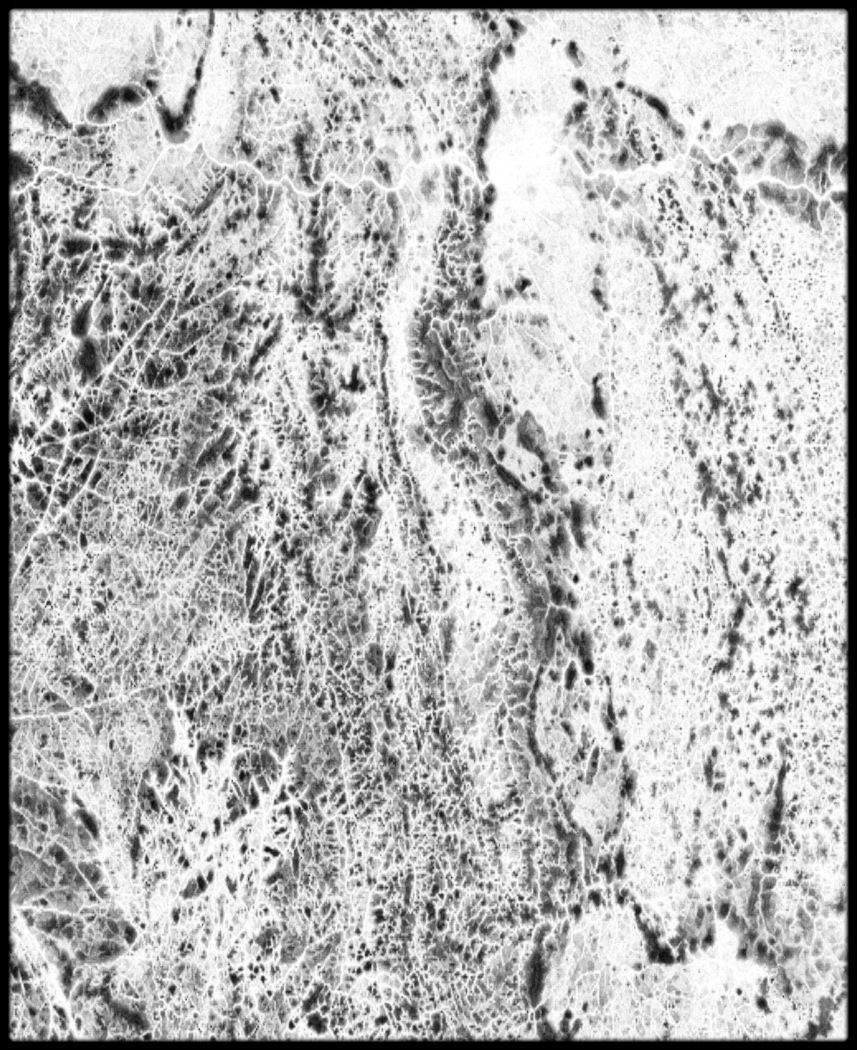 Gabon High resolution 12k cavity map Texture | CGTrader