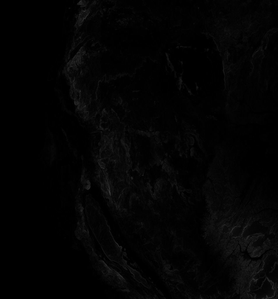 Gabon High resolution 12k thickness map Texture | CGTrader