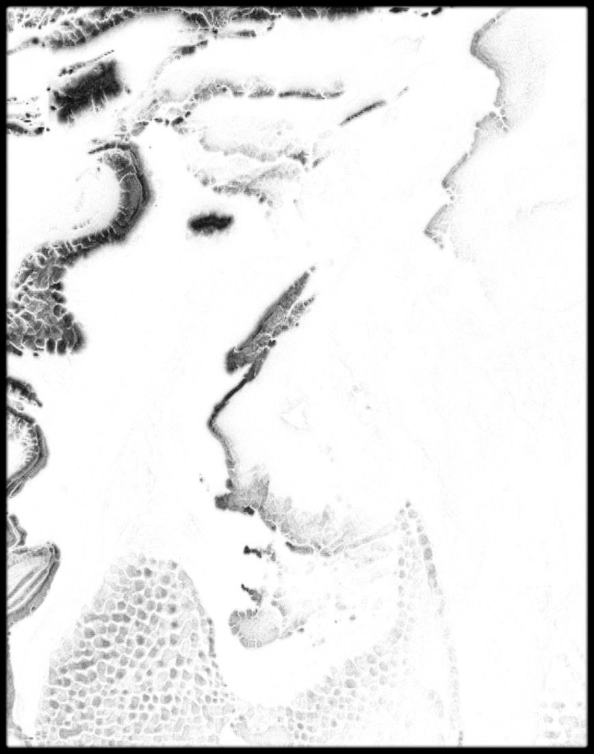 Spain High resolution 34k cavity map Texture | CGTrader