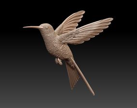 Free Hummingbird 3D Printing Models | CGTrader