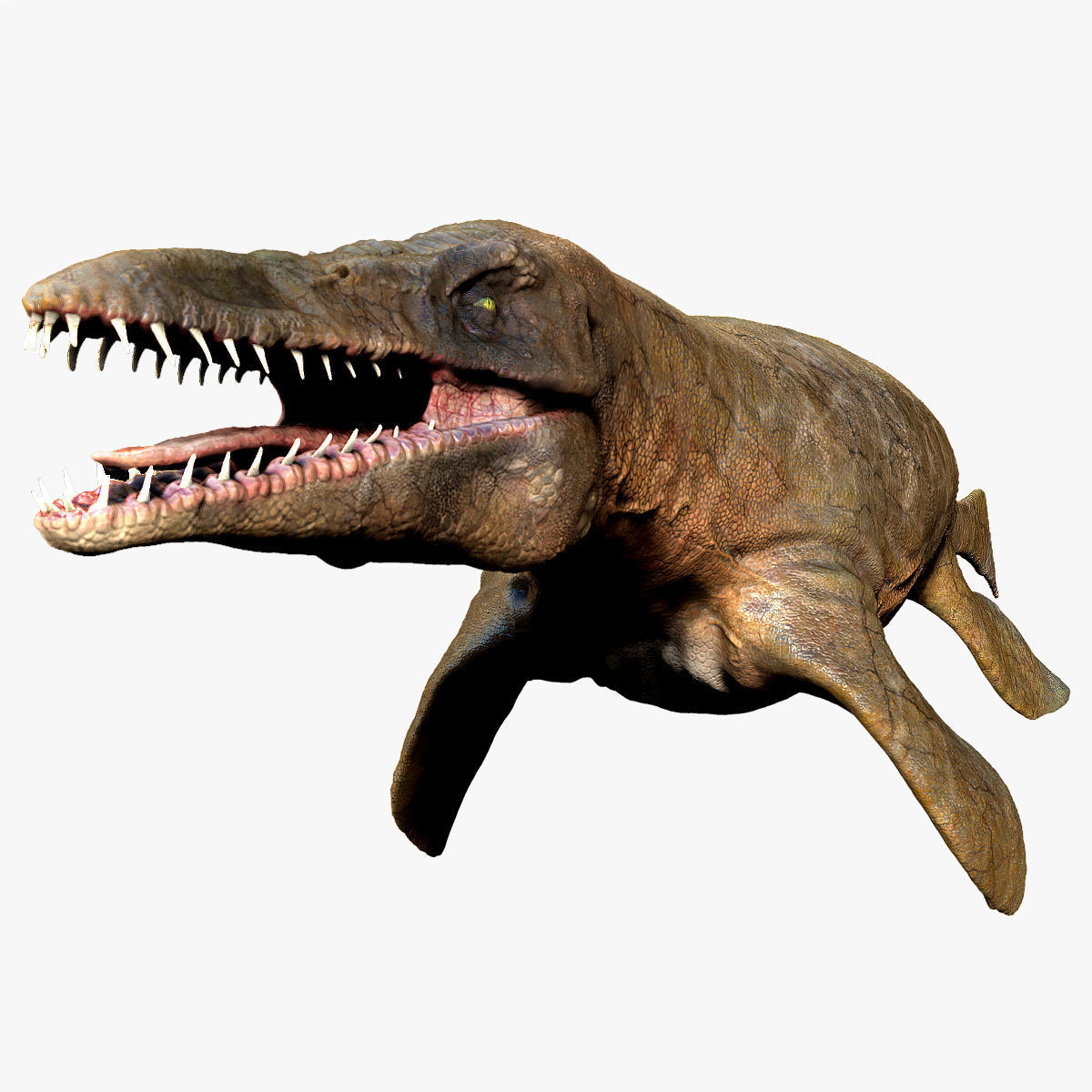 Tylosaurus Sculpt Project 3D model | CGTrader