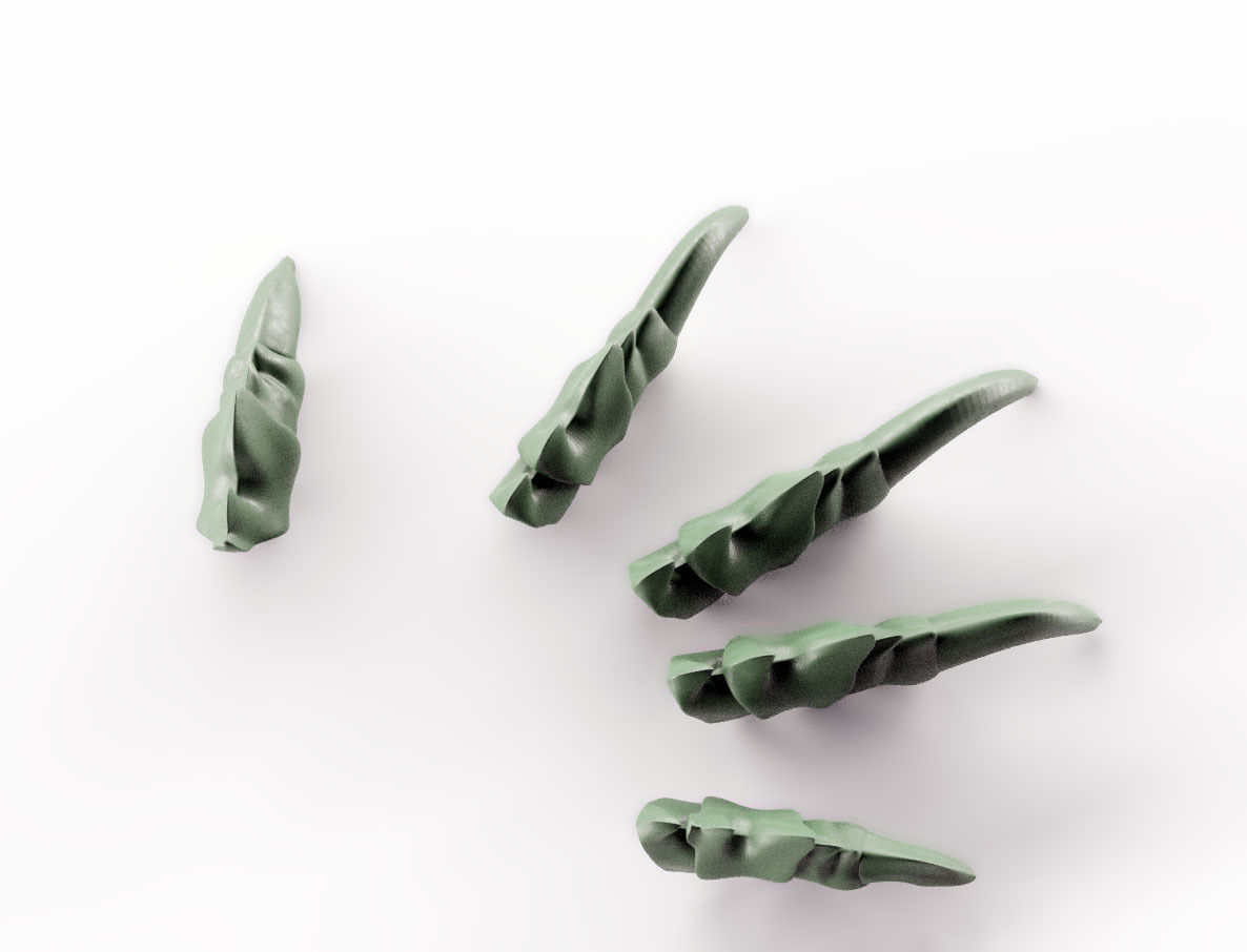 DRAGON CLAWS 3D model 3D printable | CGTrader