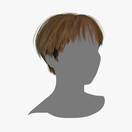 Female Hair - 005 3D model rigged | CGTrader