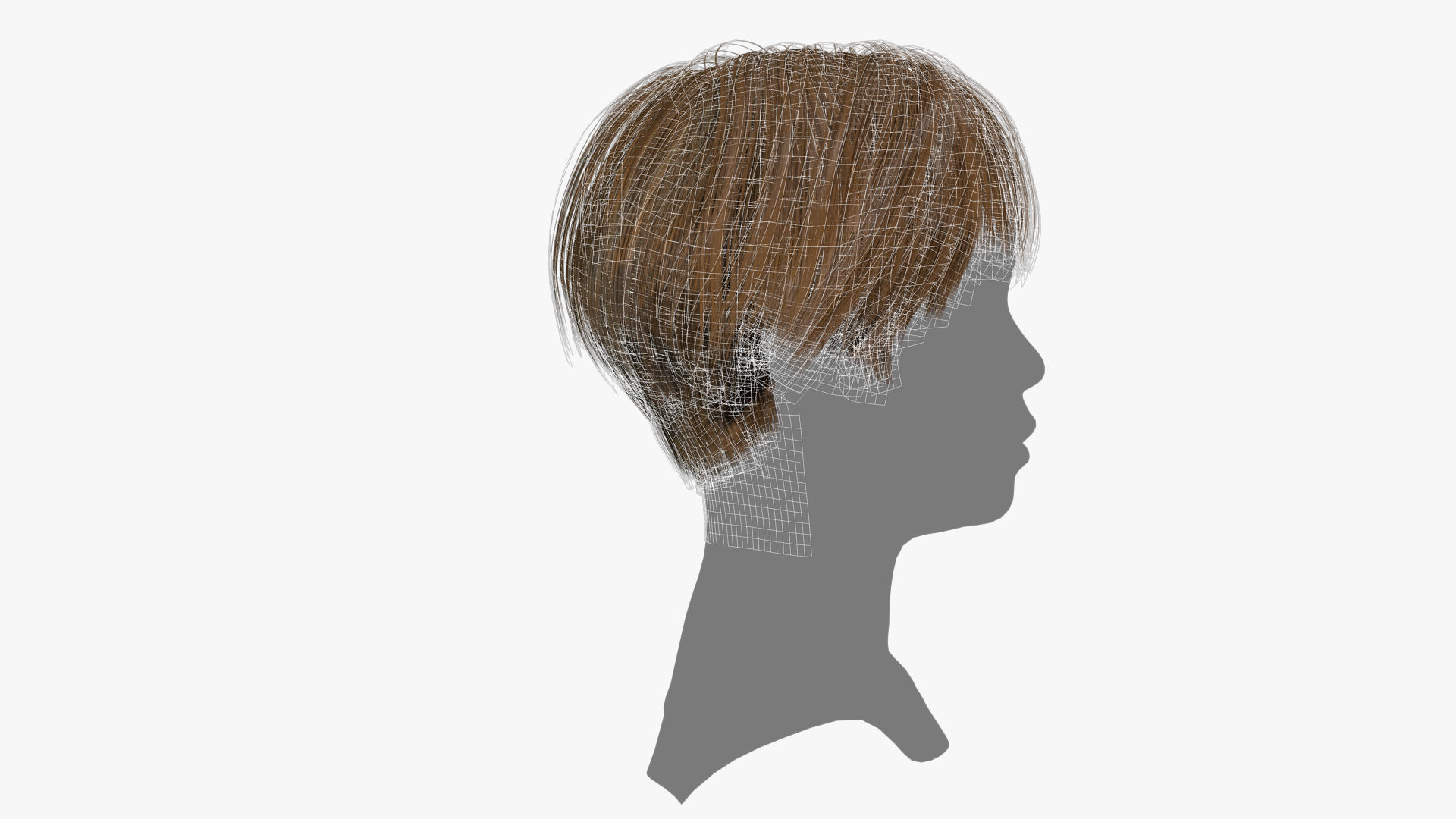 Female Hair - 005 3D model rigged | CGTrader