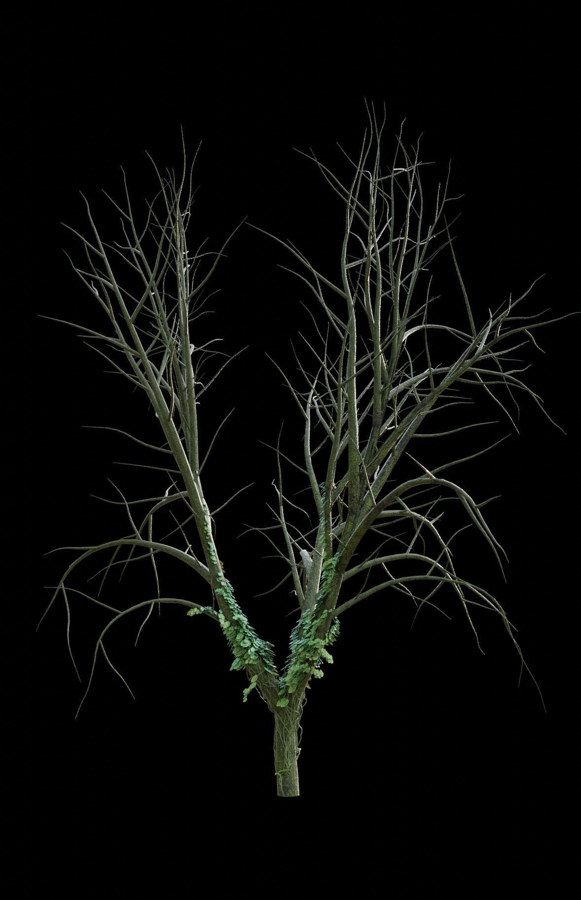 Jungle tree 3D model | CGTrader