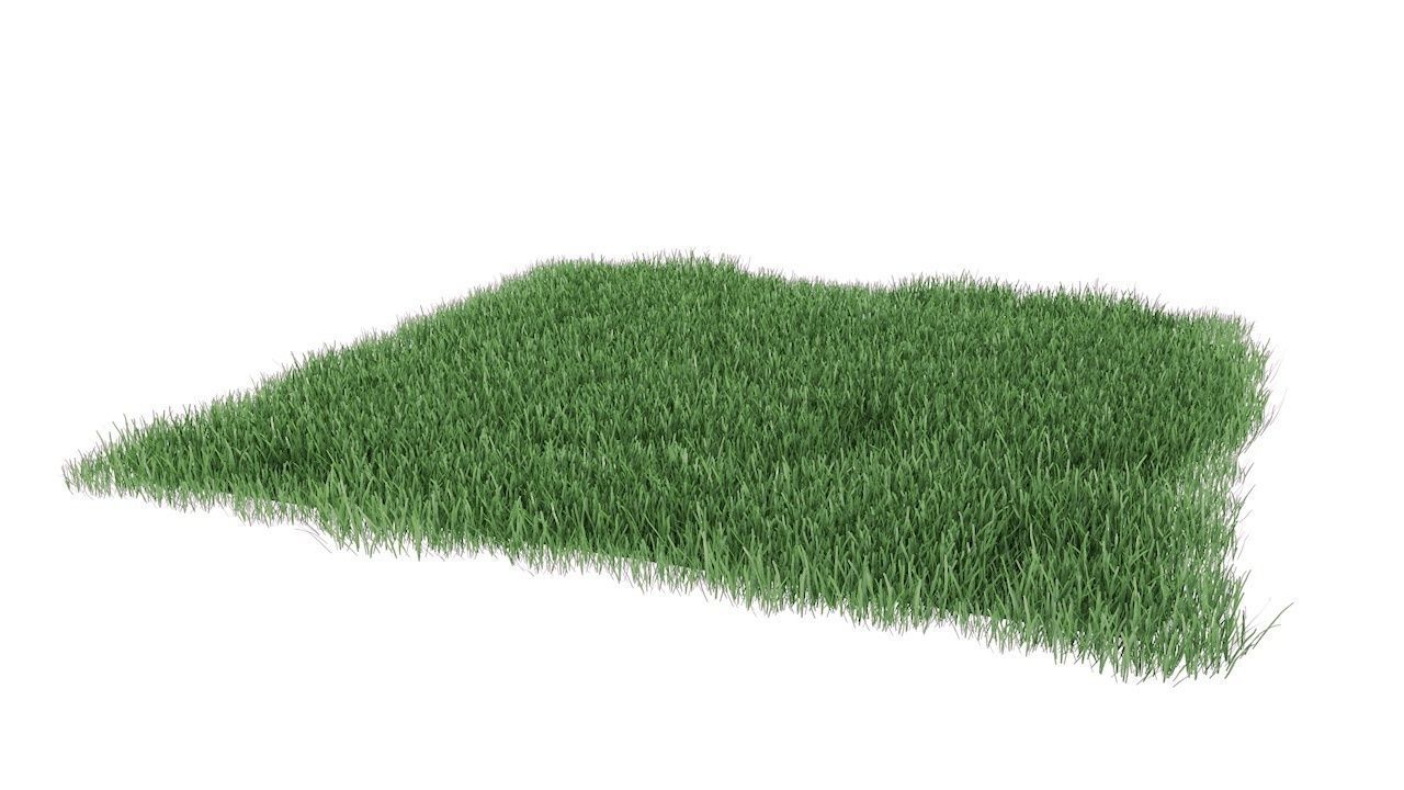 Realistic lawn grass for your projects 3D model | CGTrader