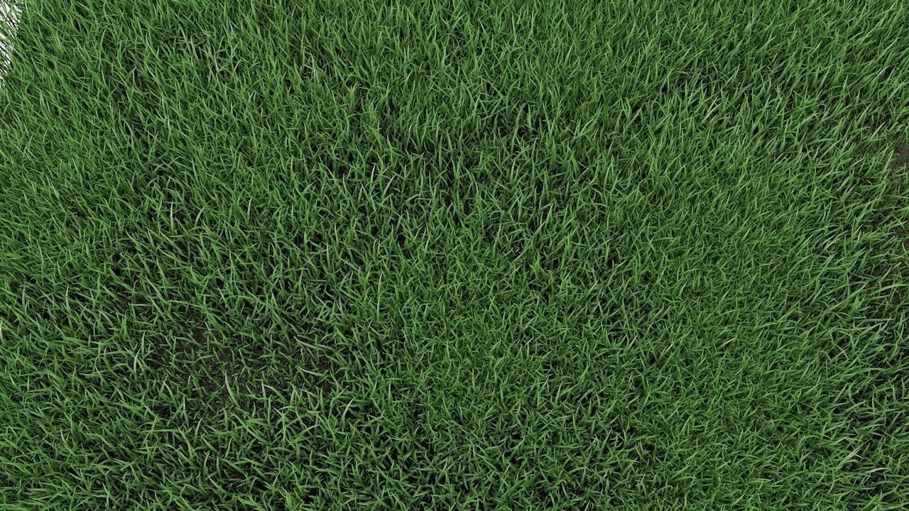 Realistic lawn grass for your projects 3D model | CGTrader