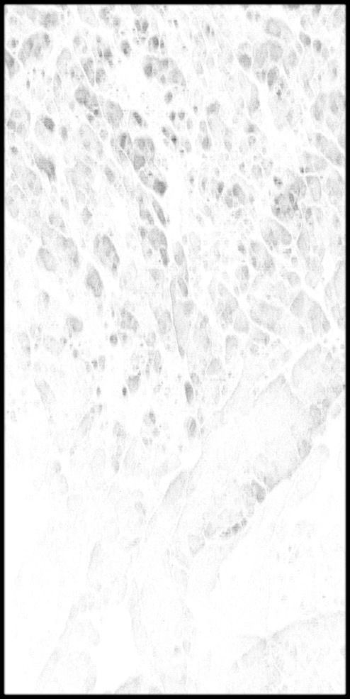 Sweden High resolution 26k cavity map Texture | CGTrader