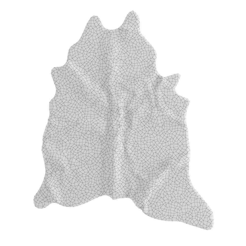 Animal skin rug 07 3D model | CGTrader