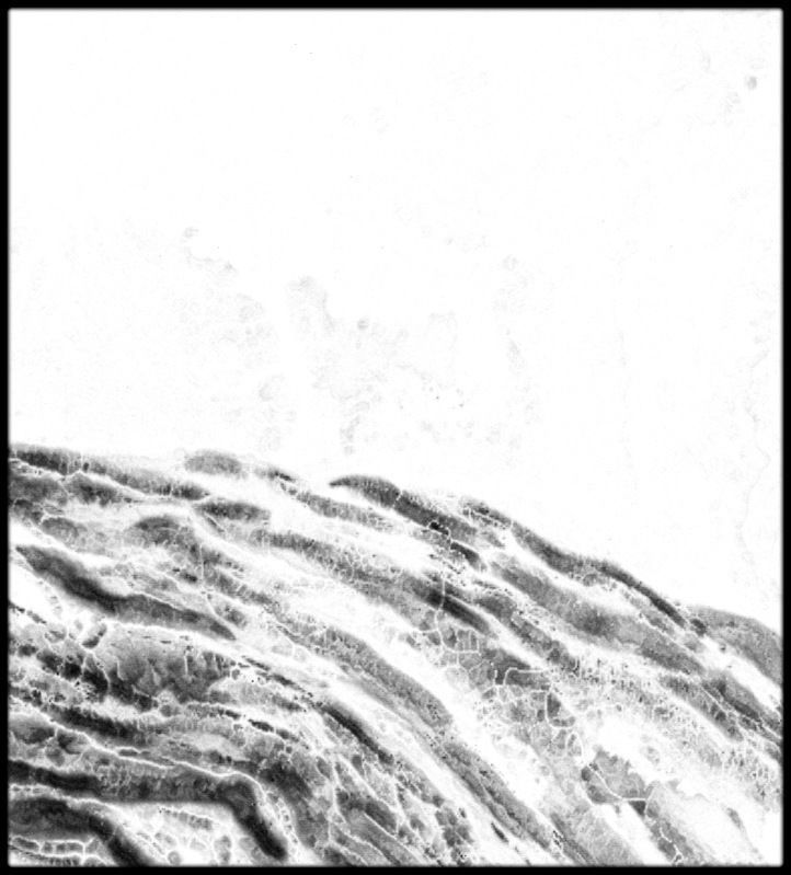 Guatemala High resolution 7k cavity map Texture | CGTrader