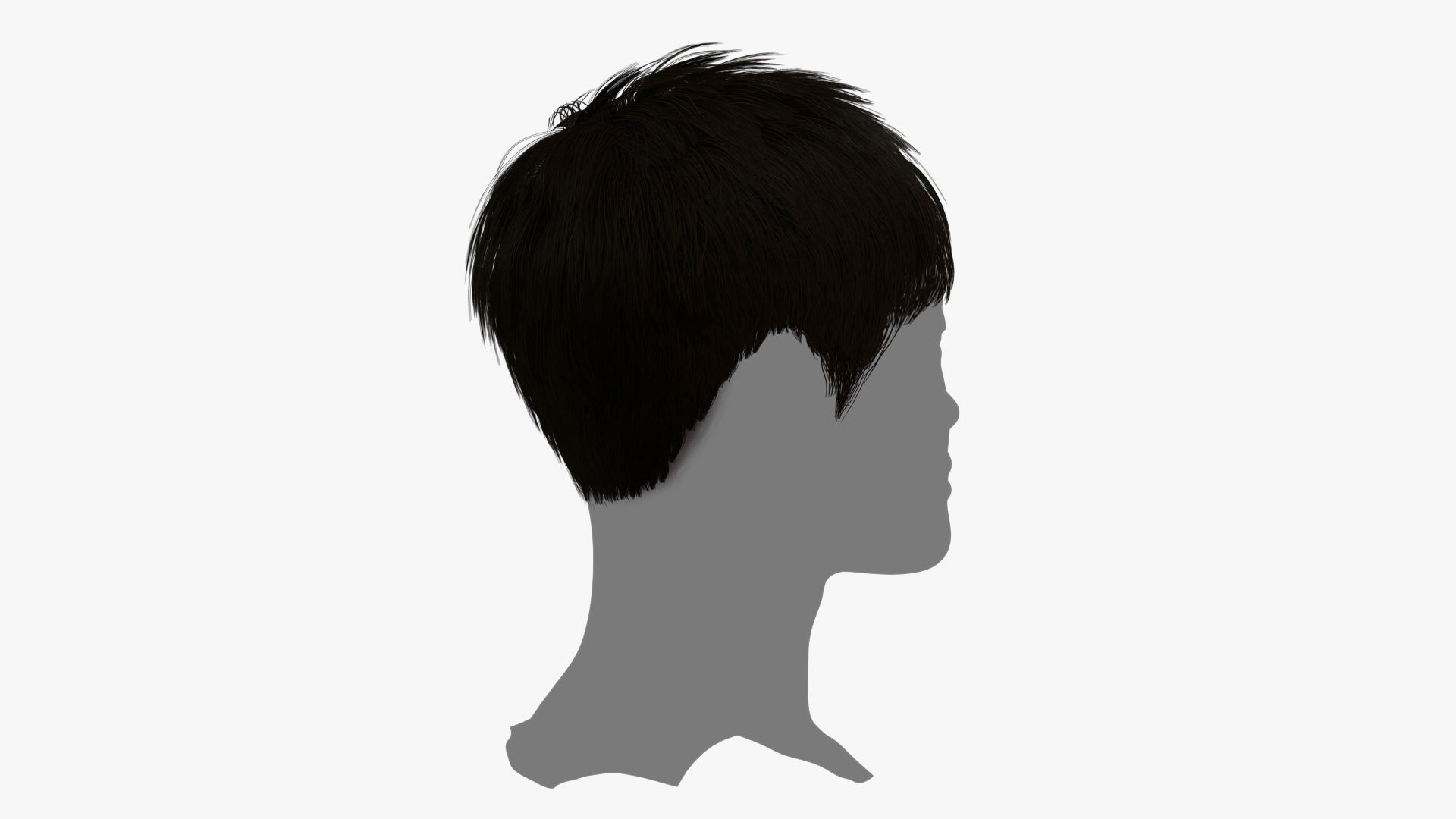 Male Hair - 004 3D model rigged | CGTrader