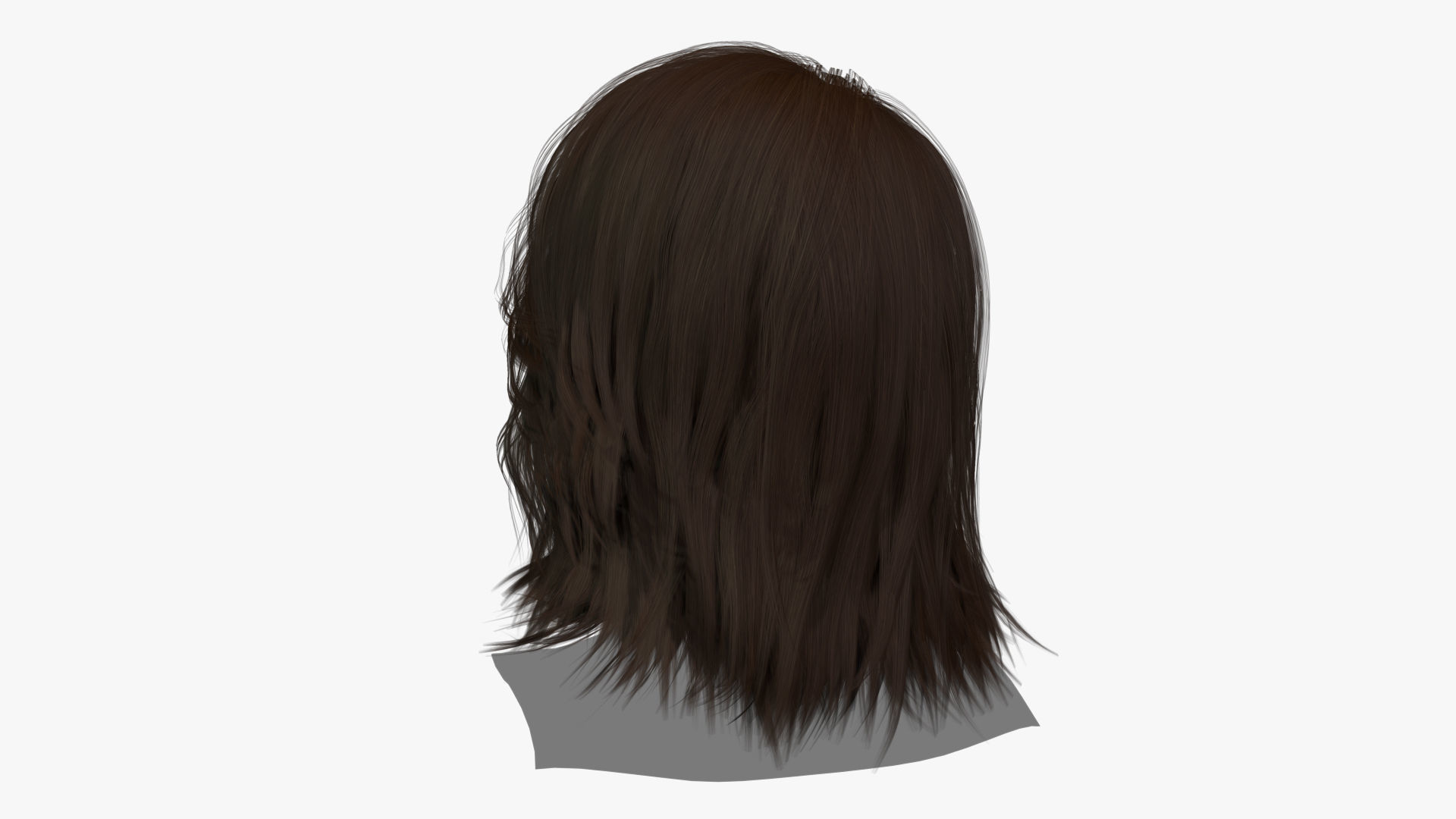 Female Hair - 016 3D model rigged | CGTrader