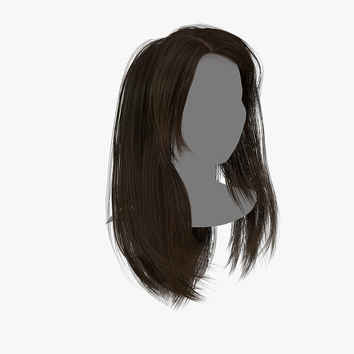 Female Hair - 018 3D model rigged | CGTrader