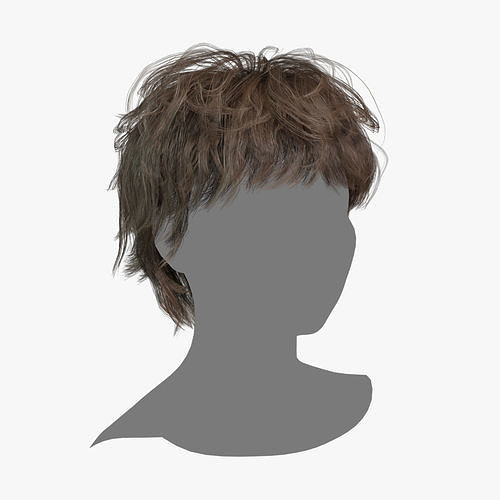 Female Hair - 019 3D model rigged | CGTrader
