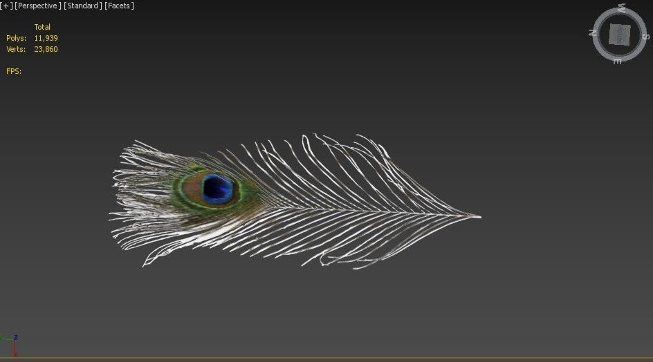 pecock feather 3D model | CGTrader