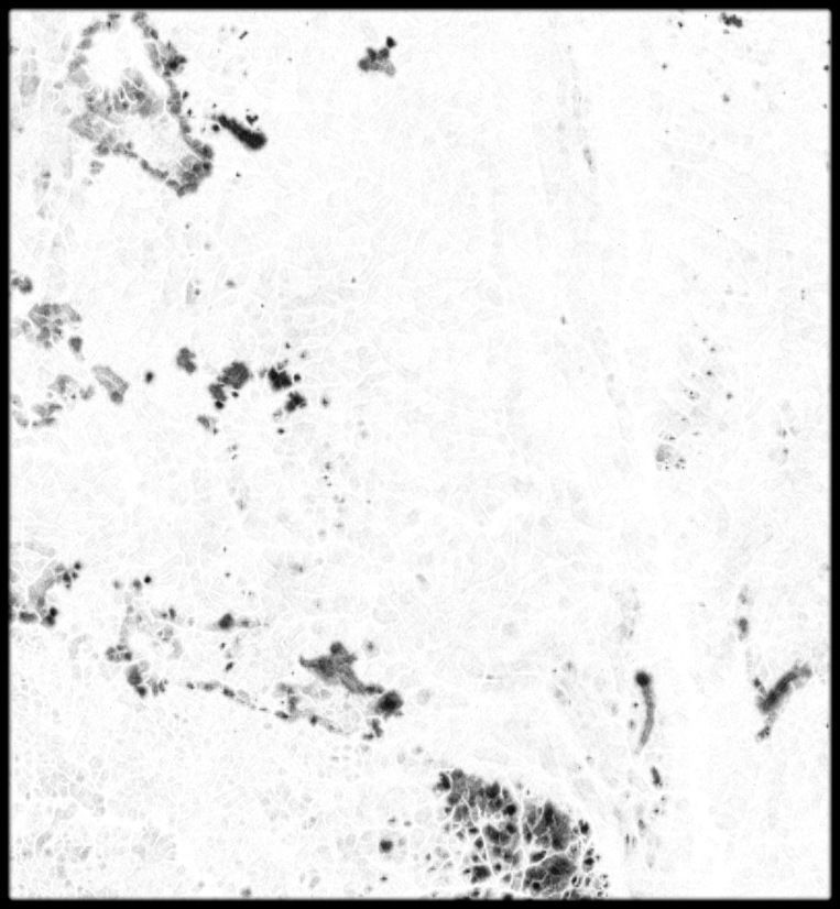 Liberia High resolution 8k cavity map Texture | CGTrader