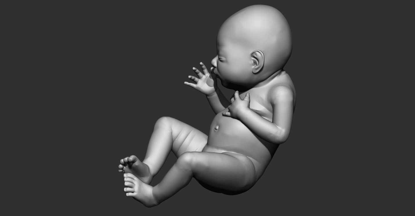 New born baby Boy 3d model for 3d printing multi poses 3D model 3D ...