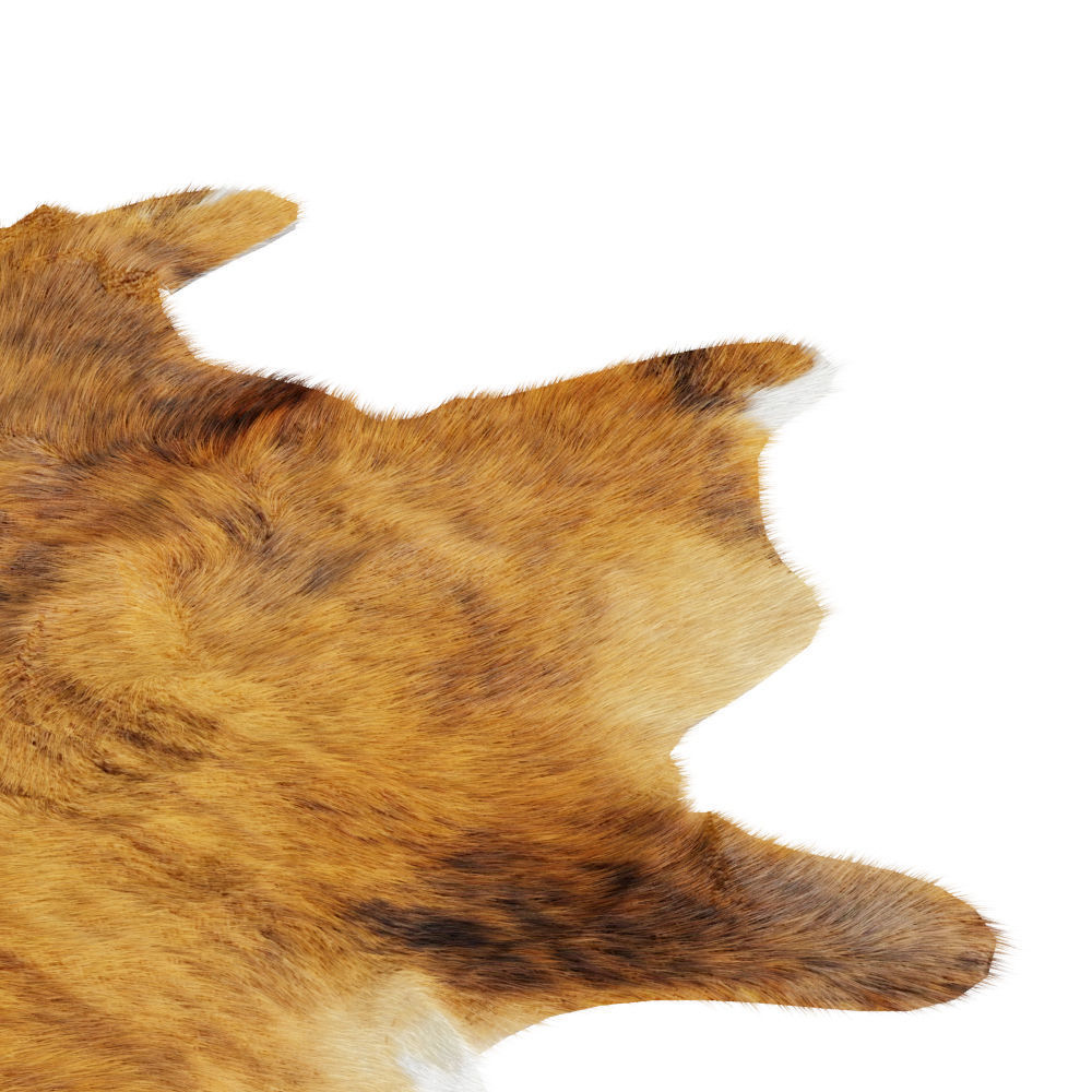 Animal skin rug 08 3D model | CGTrader