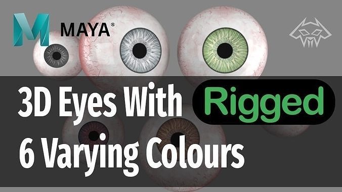 3D eyes with 6 varing eye colours- Rigged 3D model rigged | CGTrader